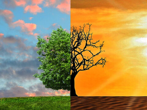 The Science Of Climate Change - The Thomas Poole Library Nether Stowey